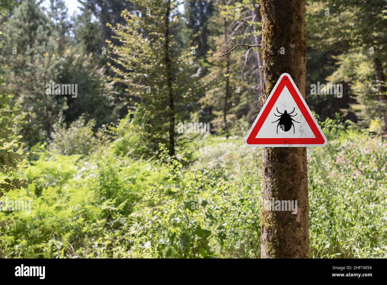 Tick insect warning sign in nature forest. Danger of Lyme disease ...