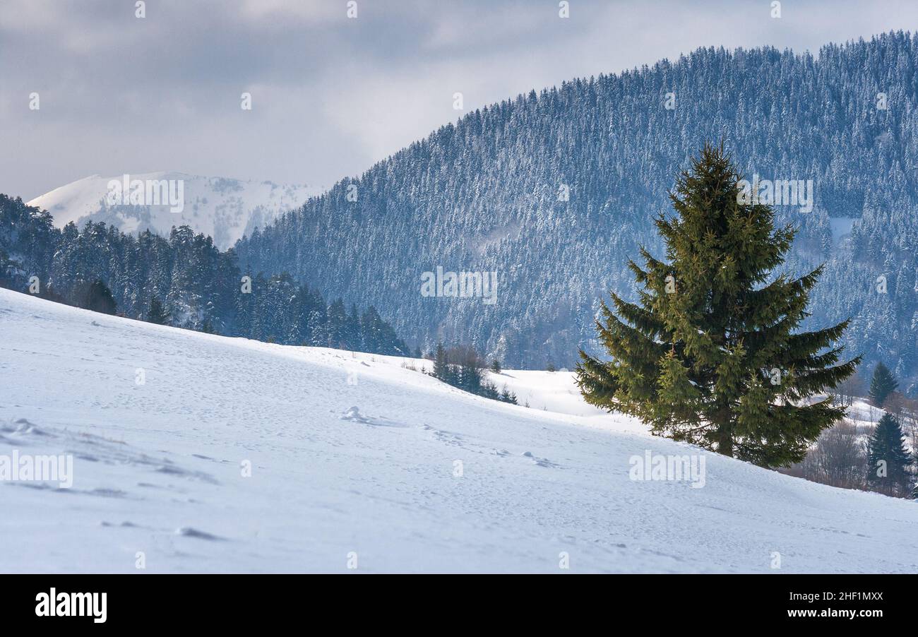 Snowy winter hilly landscape, Slovakia, Europe Stock Photo - Alamy