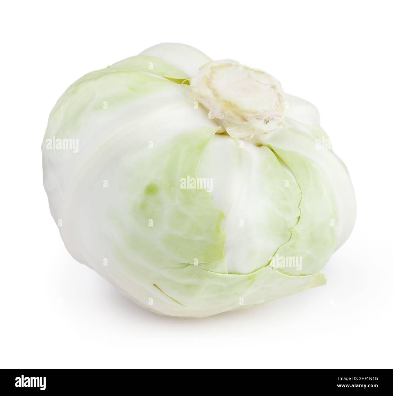 White cabbage isolated on white background with clipping path Stock ...