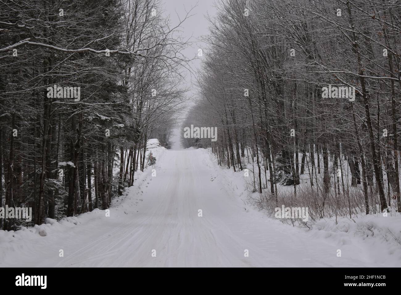 A country lane in winter Stock Photo - Alamy