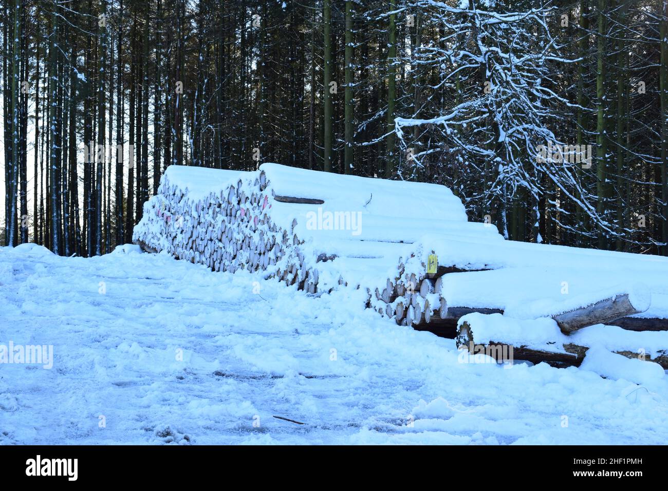 timber with snow on top Stock Photo - Alamy