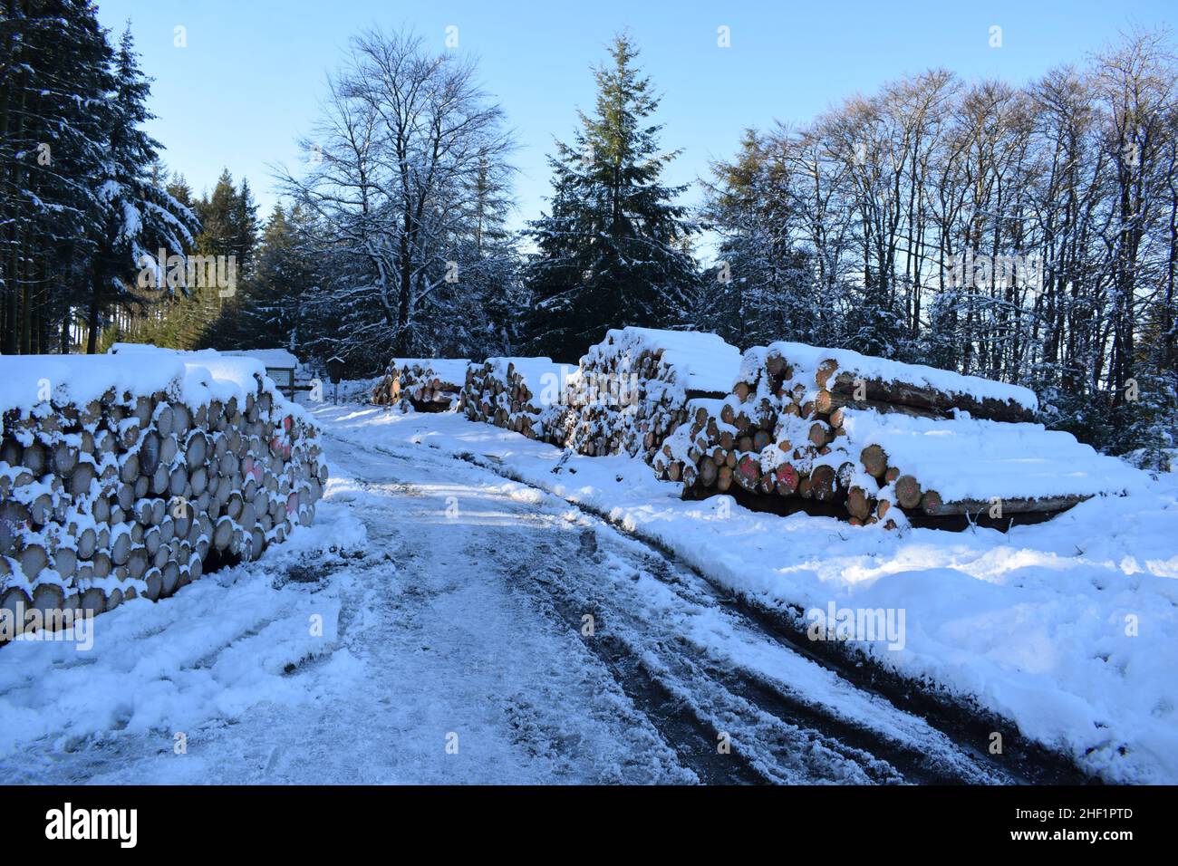 timber with snow on top Stock Photo - Alamy