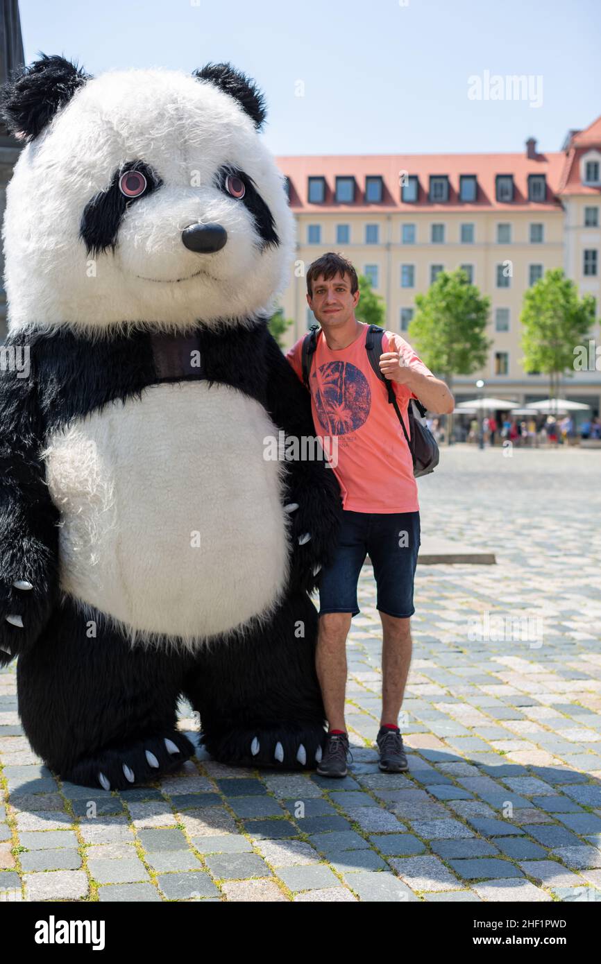 man with giant panda Stock Photo - Alamy