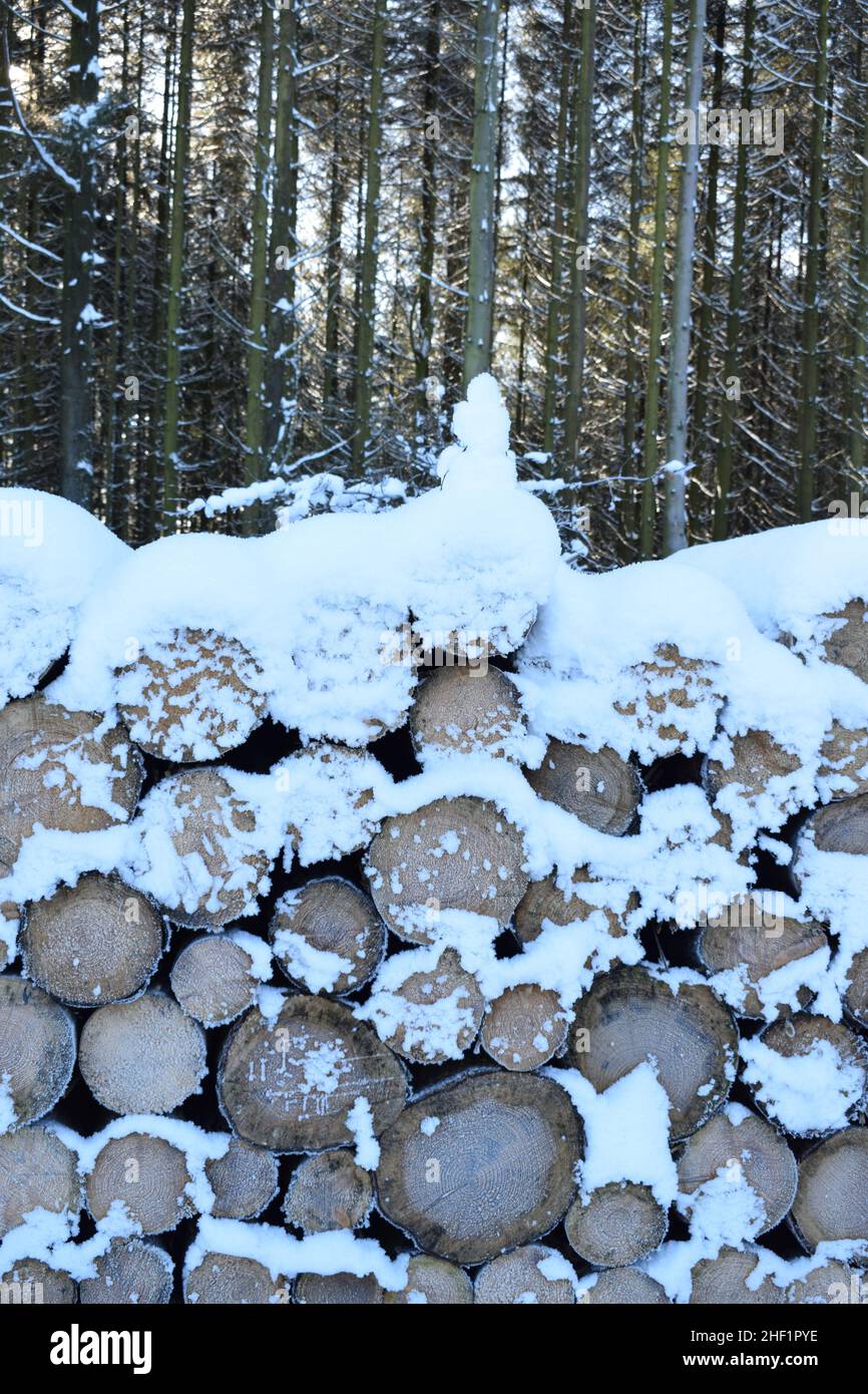 timber with snow on top Stock Photo - Alamy