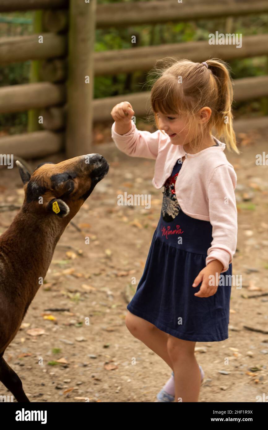 little child with a goat Stock Photo - Alamy
