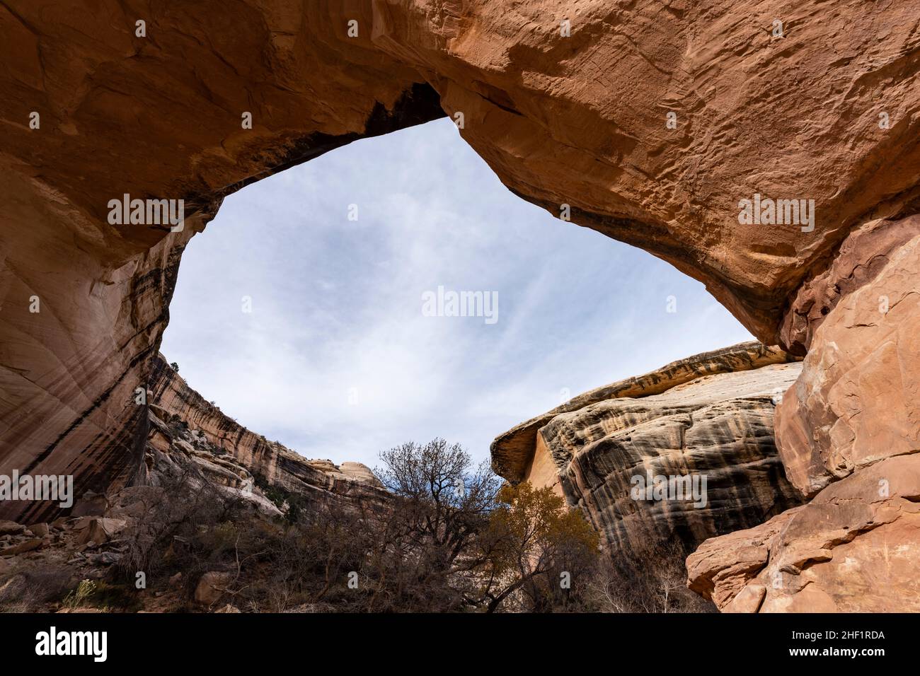 Kachina Bridge in Natural Bridges National Monument Stock Photo - Alamy