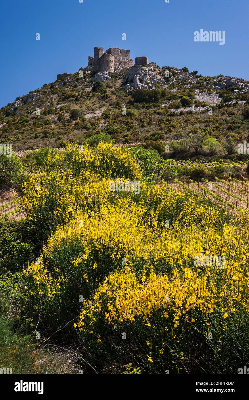 Catharism hi-res stock photography and images - Alamy