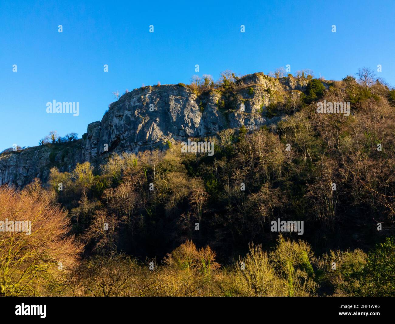 The limestone cliffs with trees in winter colour at High Tor in Matlock ...