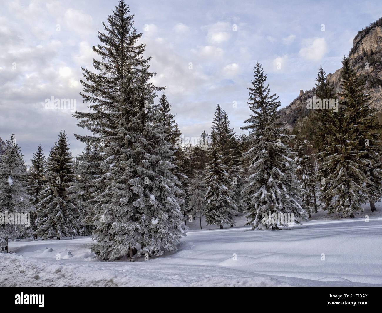 Fanes mountain dolomites icy forest in winter panorama snow landscape ...