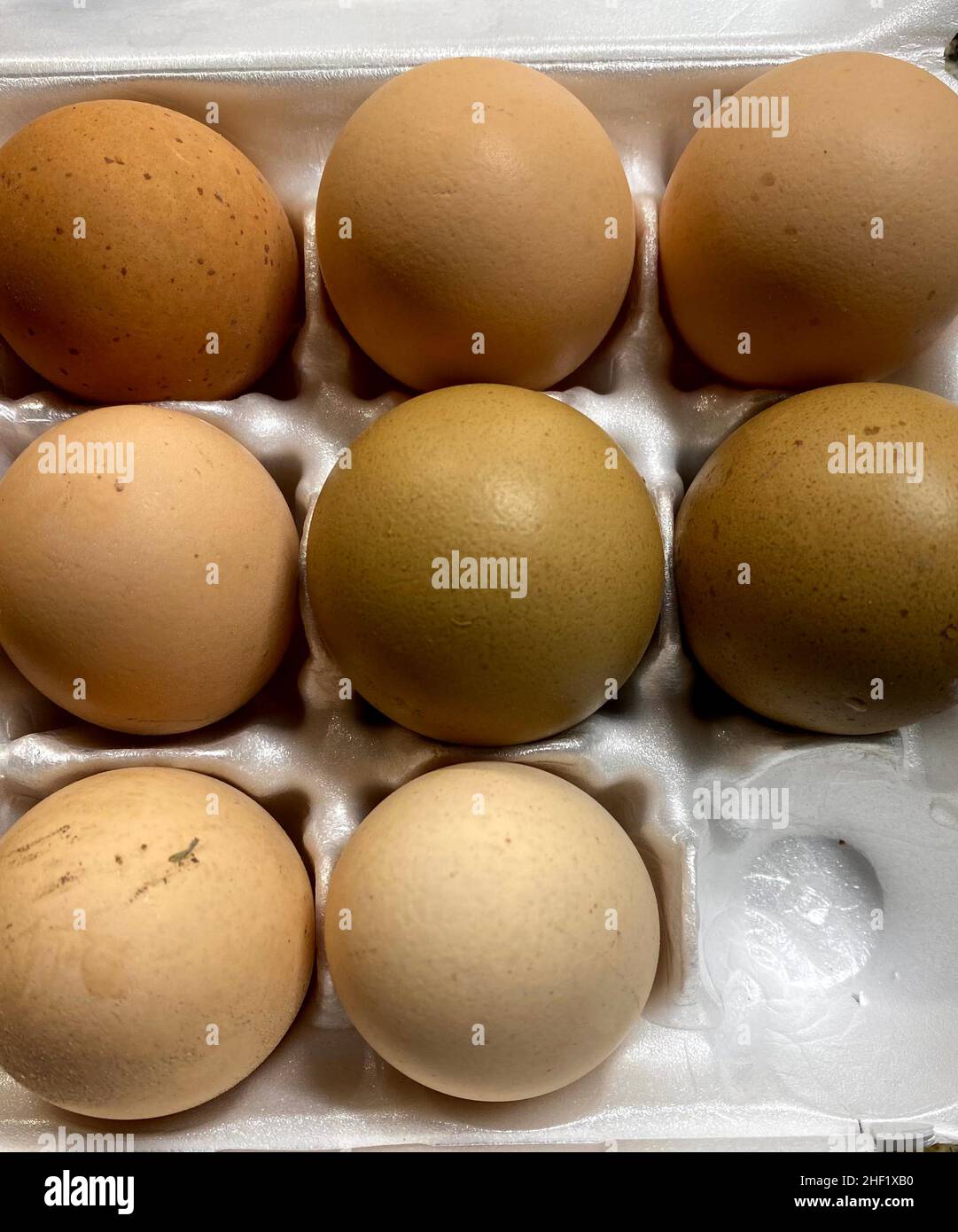Eight farm fresh eggs Stock Photo - Alamy