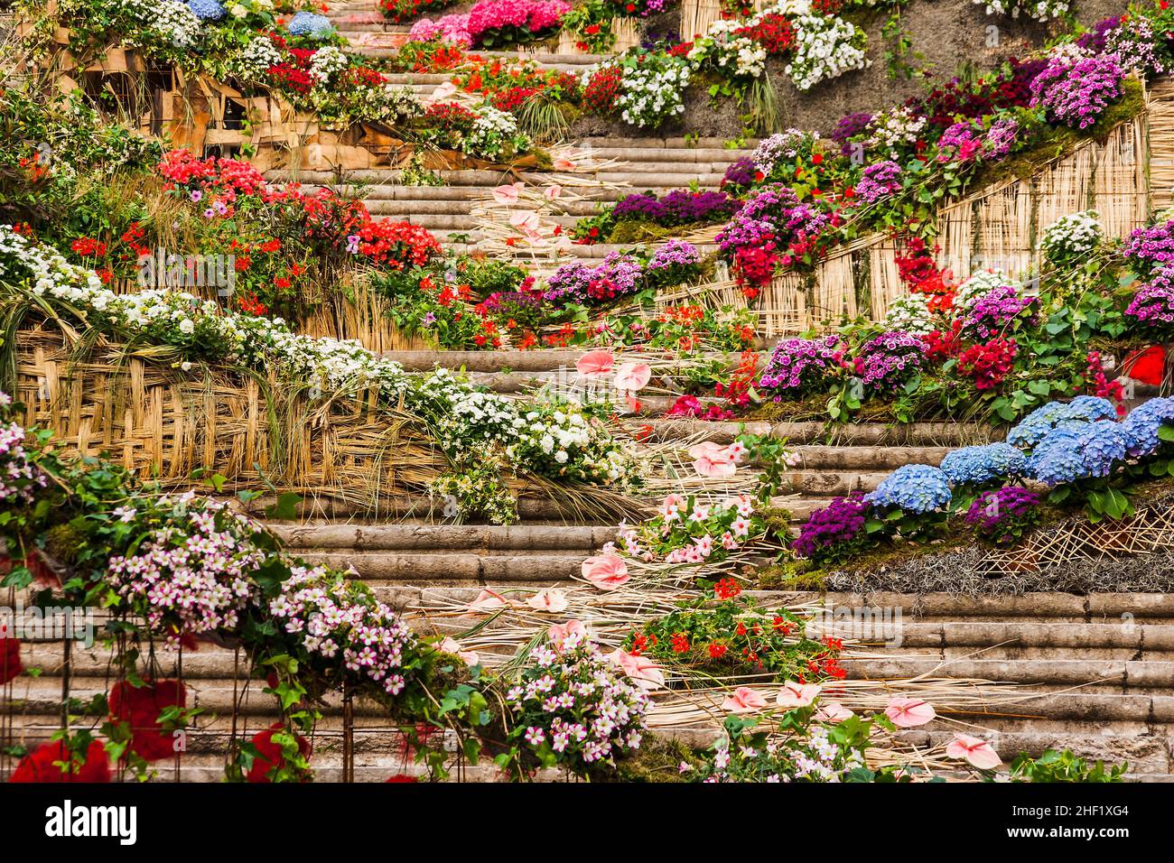 Stairs and flowers Stock Photo - Alamy