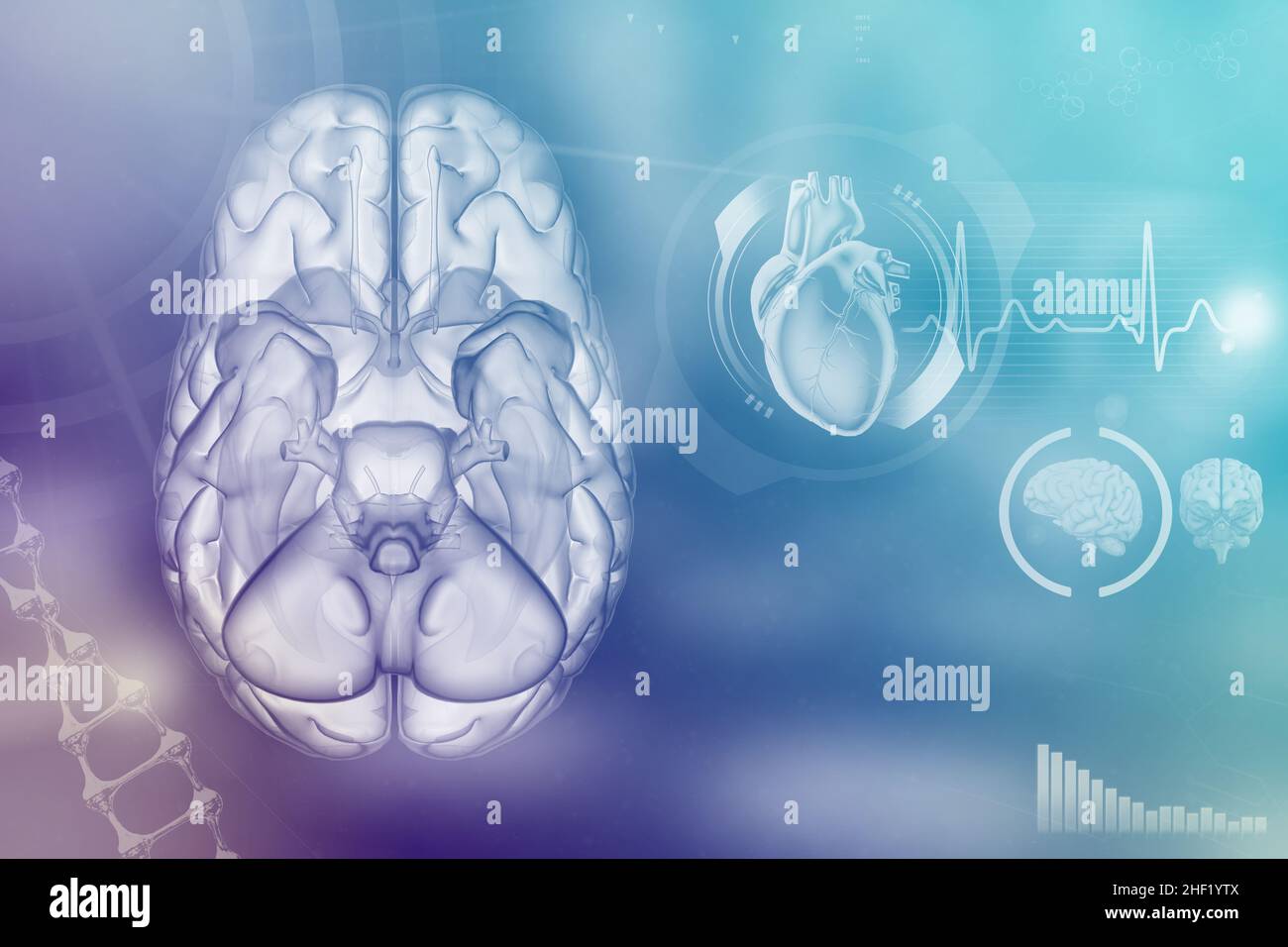 Human brain, cerebrum analysis concept - highly detailed hi-tech ...