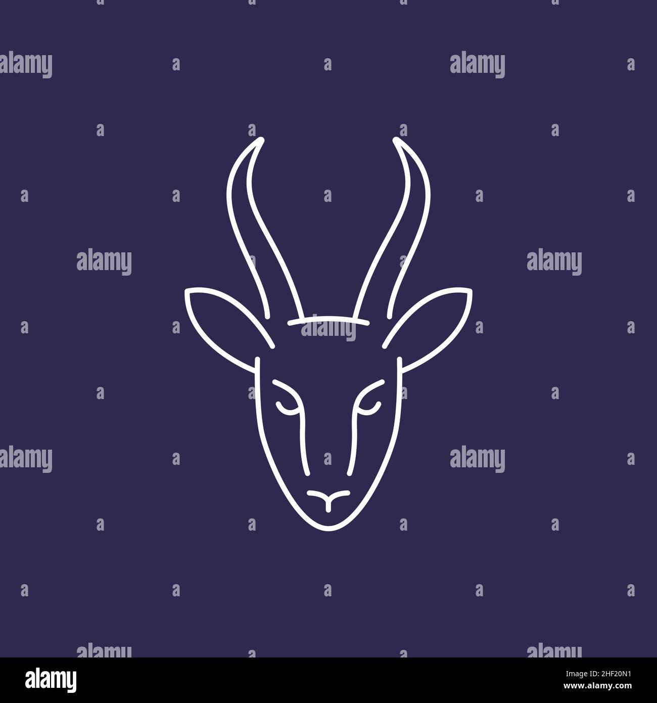 springbok, gazelle line vector icon Stock Vector Image & Art - Alamy