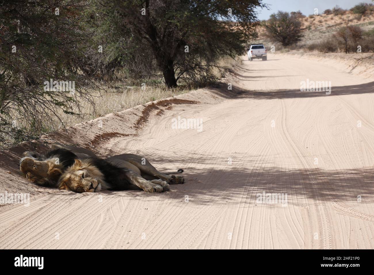 Kgalagadi Transfrontier Park Stock Photo - Alamy