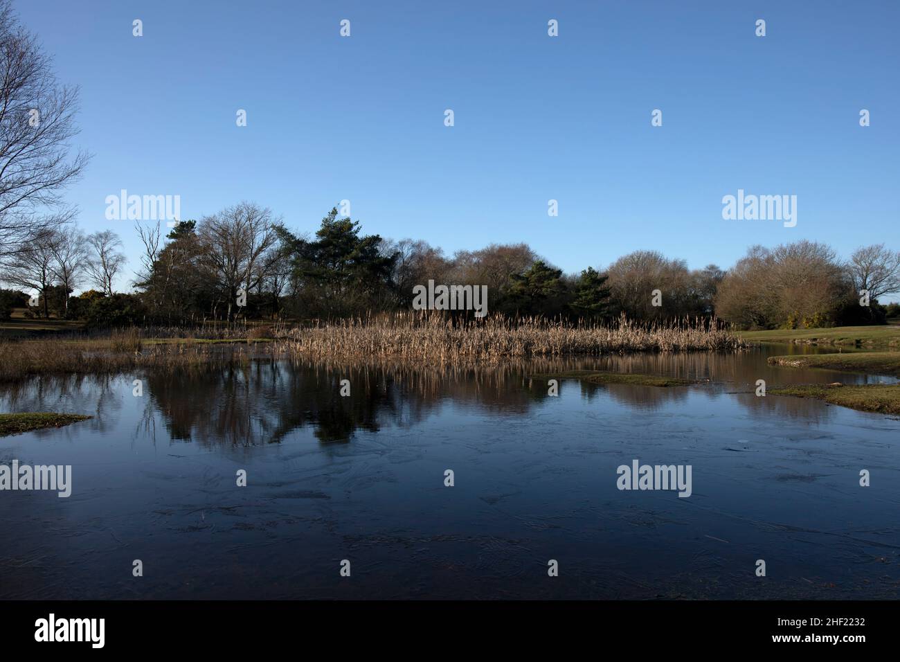 New river pond hi-res stock photography and images - Alamy