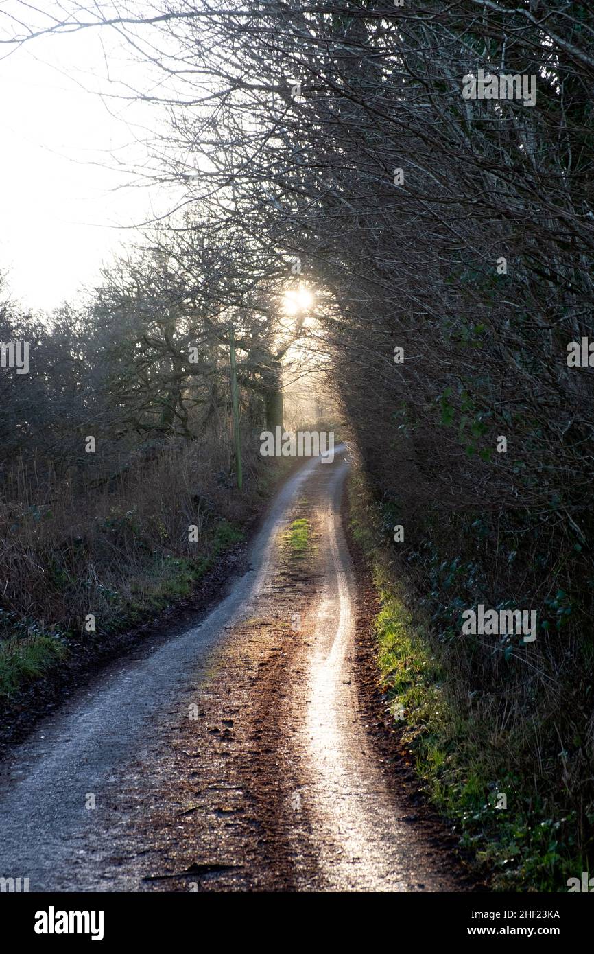 Country lane road view in winter sunshine January 2022 Carmarthenshire ...
