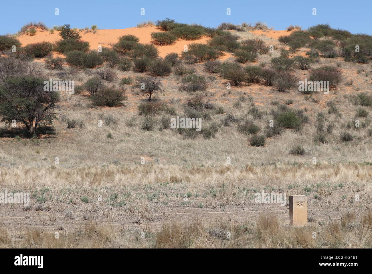 Kgalagadi Transfrontier Park Stock Photo - Alamy