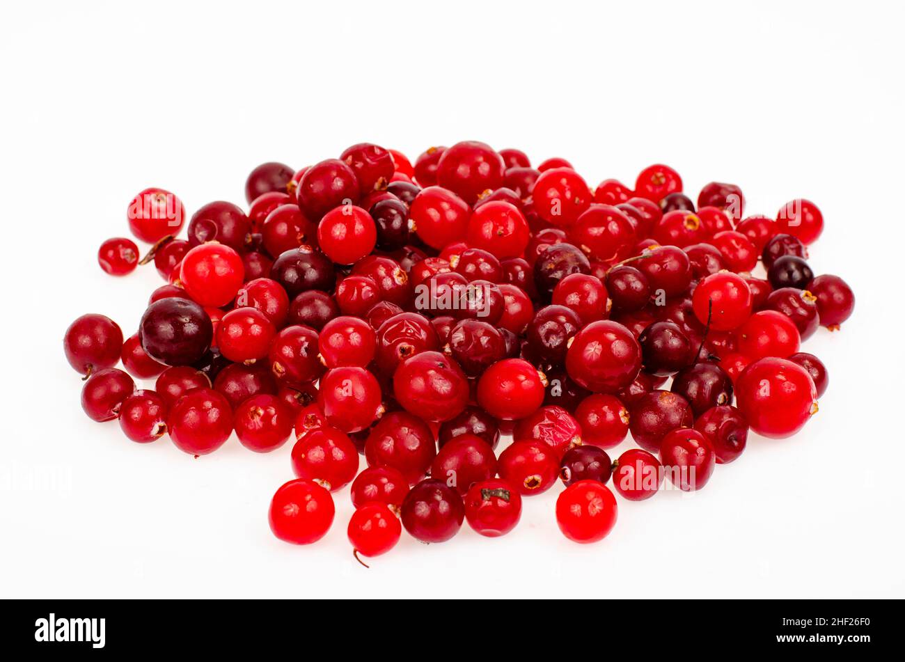 Pile fresh ripe cranberries Cut Out Stock Images & Pictures - Alamy
