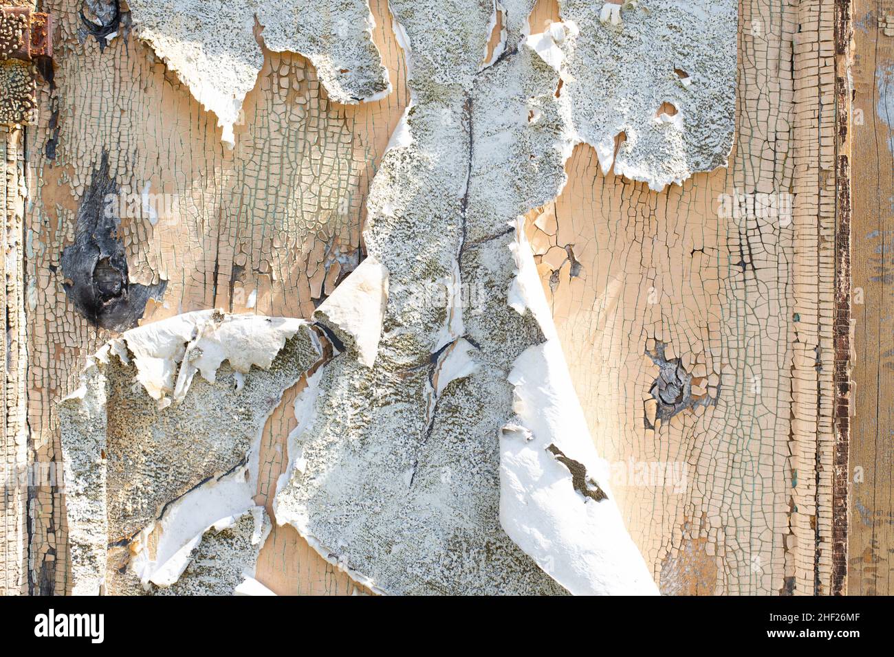 Old shabby wooden door. Wood surface with peeling white and beige paint texture background ...