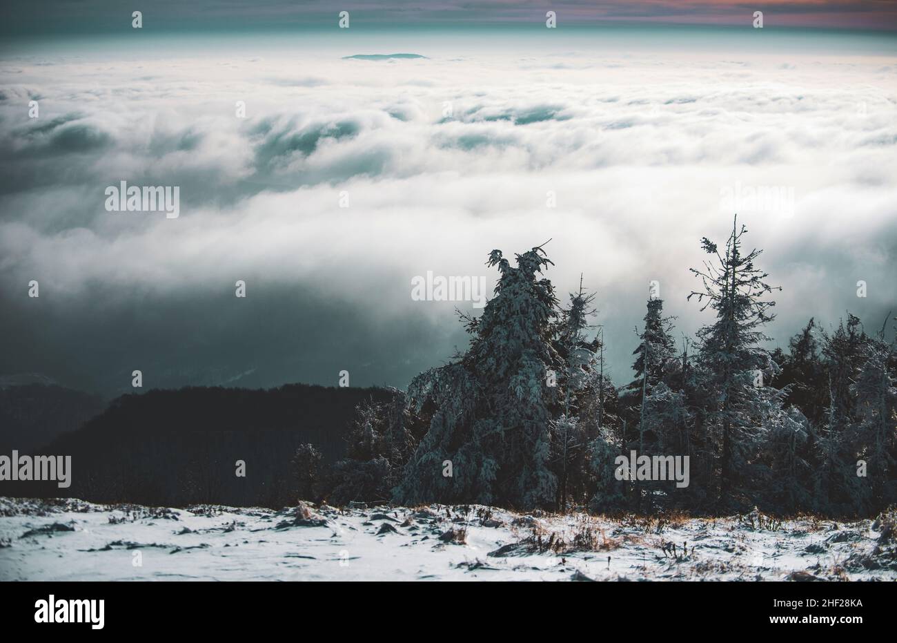 Fantastic winter landscape. Dramatic overcast sky. Snow landscape ...