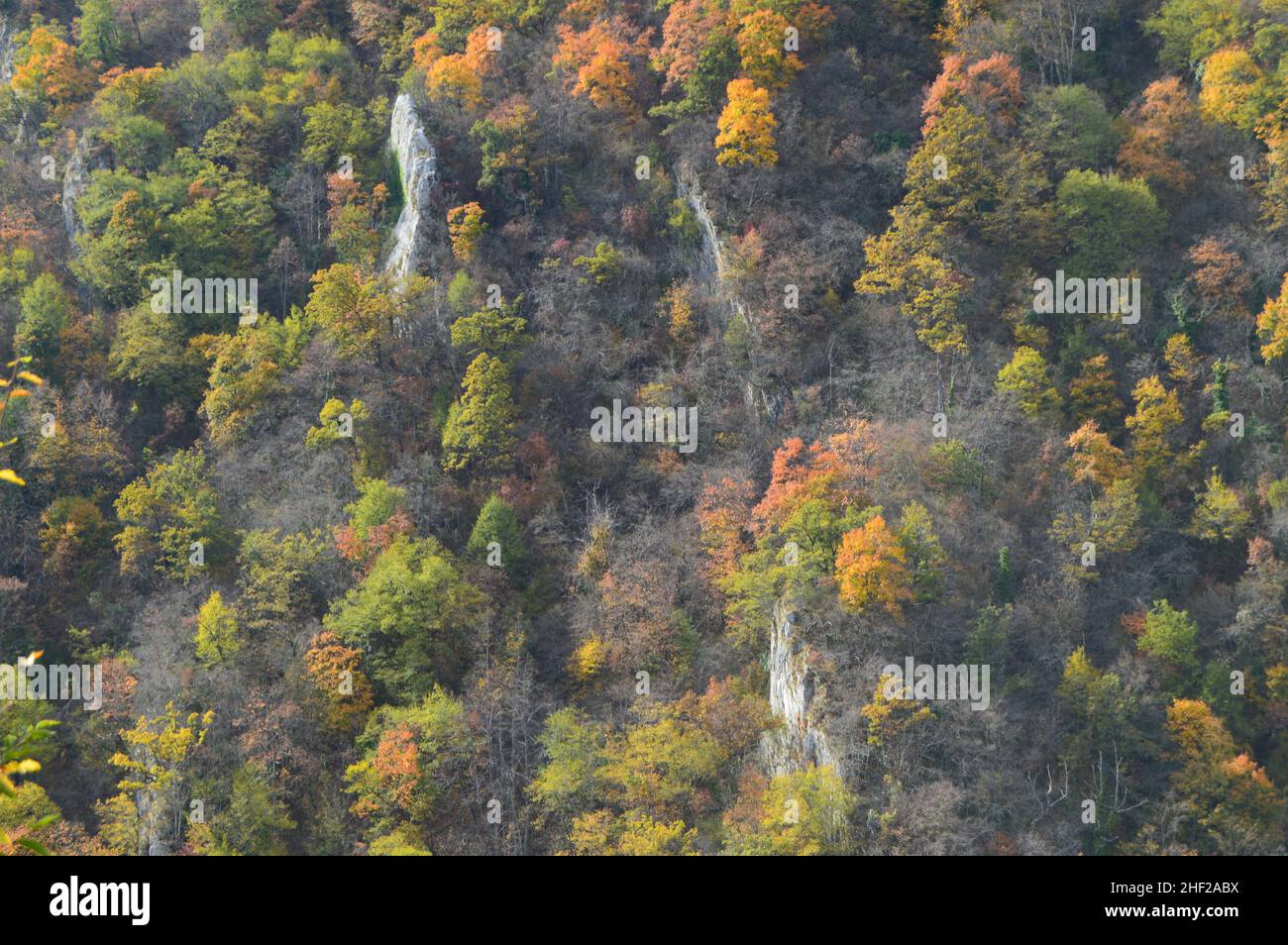 Bobovac hi-res stock photography and images - Alamy