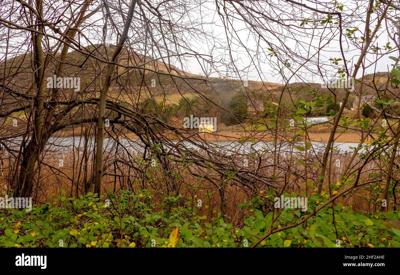 Dr neils hi-res stock photography and images - Alamy