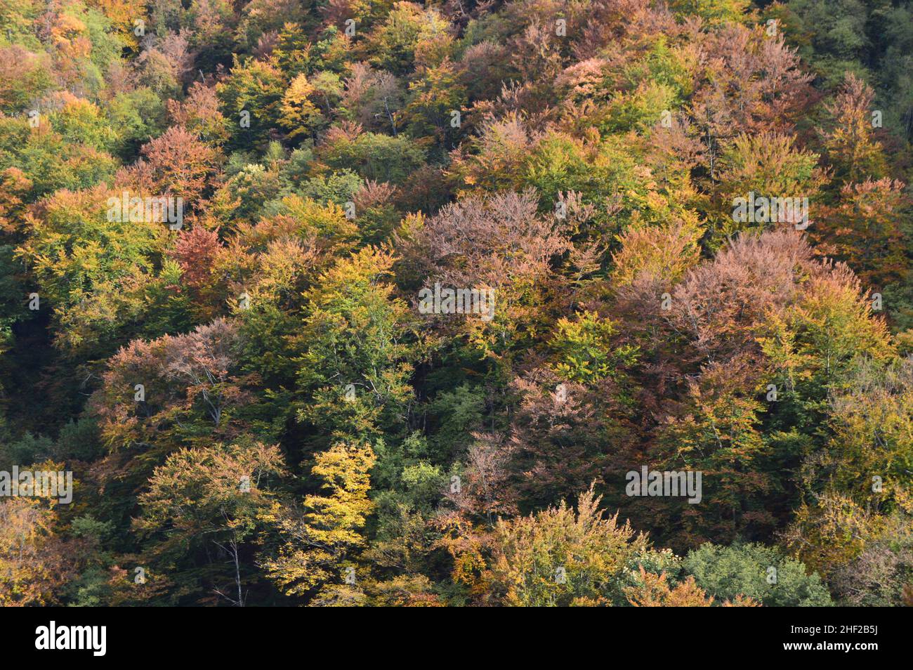 Autmn hiking on Bobobac, Bosnia and Herzegovina Stock Photo - Alamy