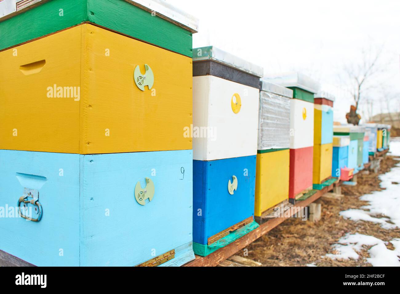 colored wooden bee hives in winter Stock Photo - Alamy