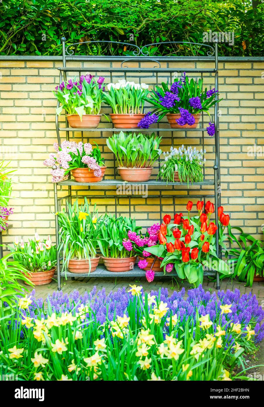colorful flower shop Stock Photo - Alamy