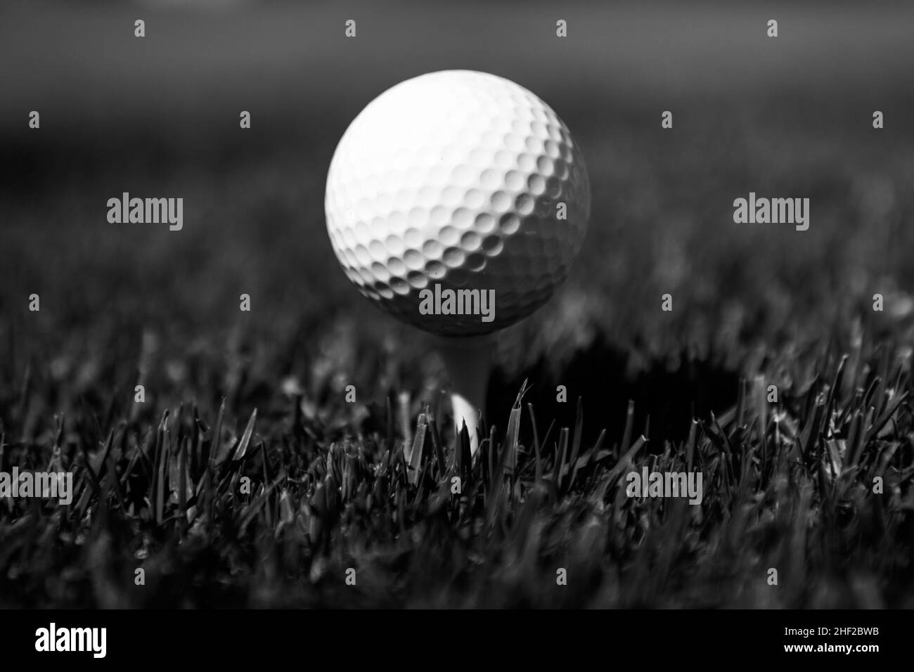 Golf ball in grass. Golf ball is on tee on green grass background Stock ...