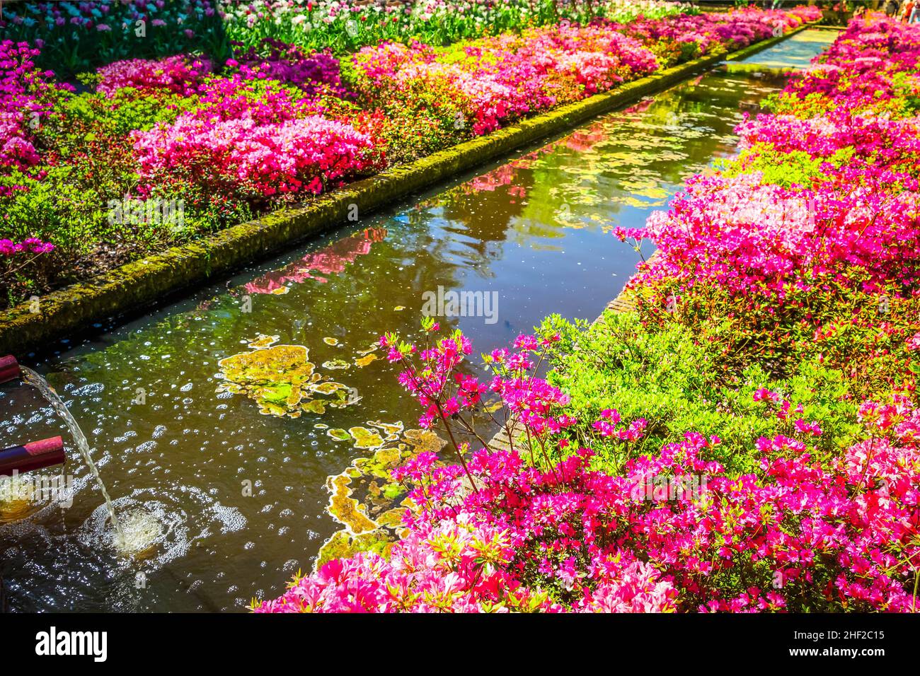 Formal spring garden Stock Photo - Alamy