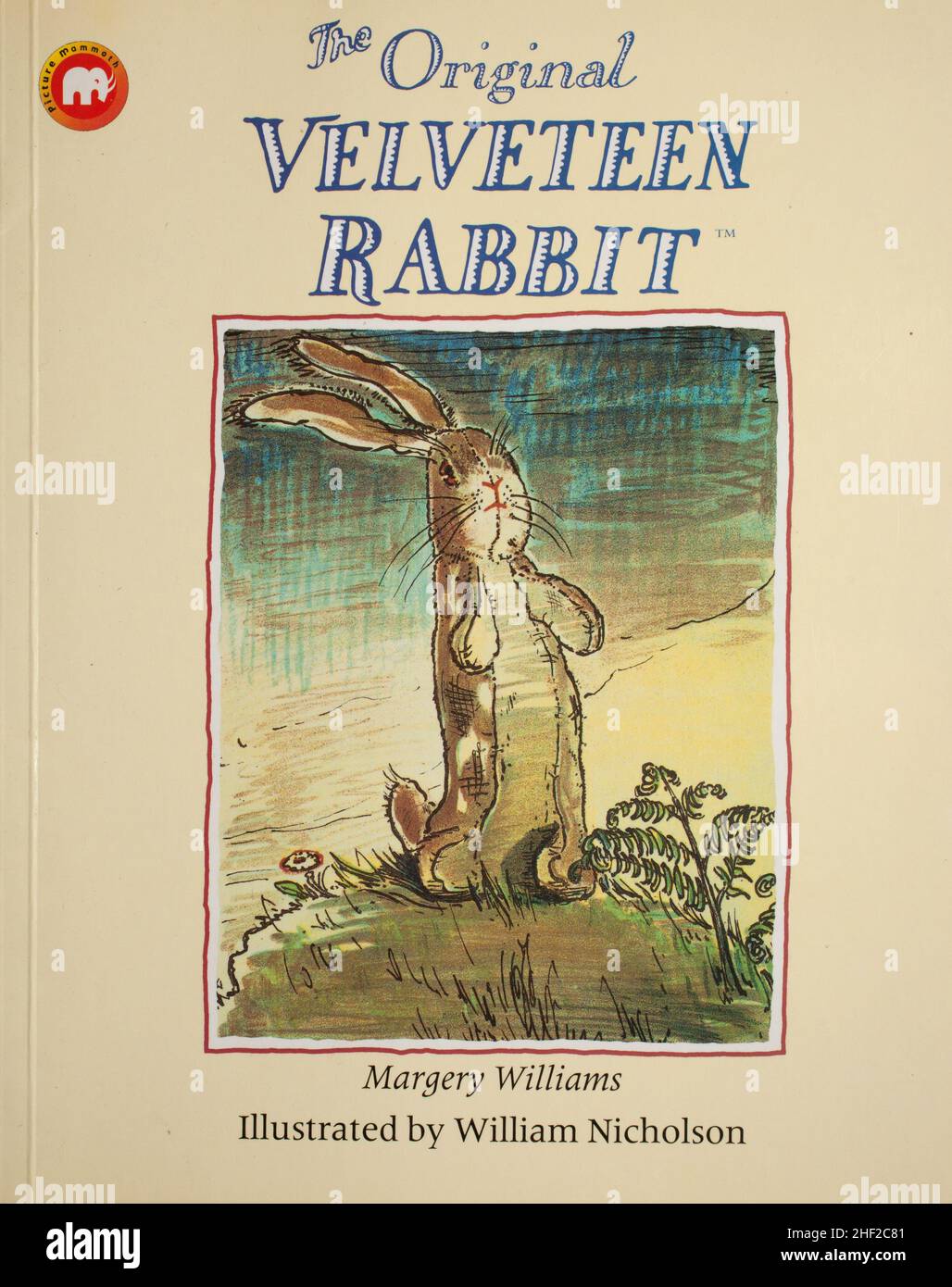 Velveteen rabbit cover hi-res stock photography and images - Alamy