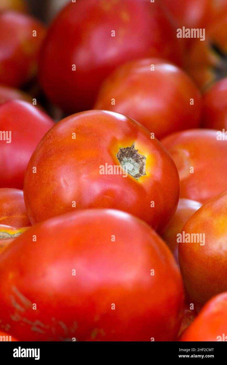 Seedless tomato hi-res stock photography and images - Alamy