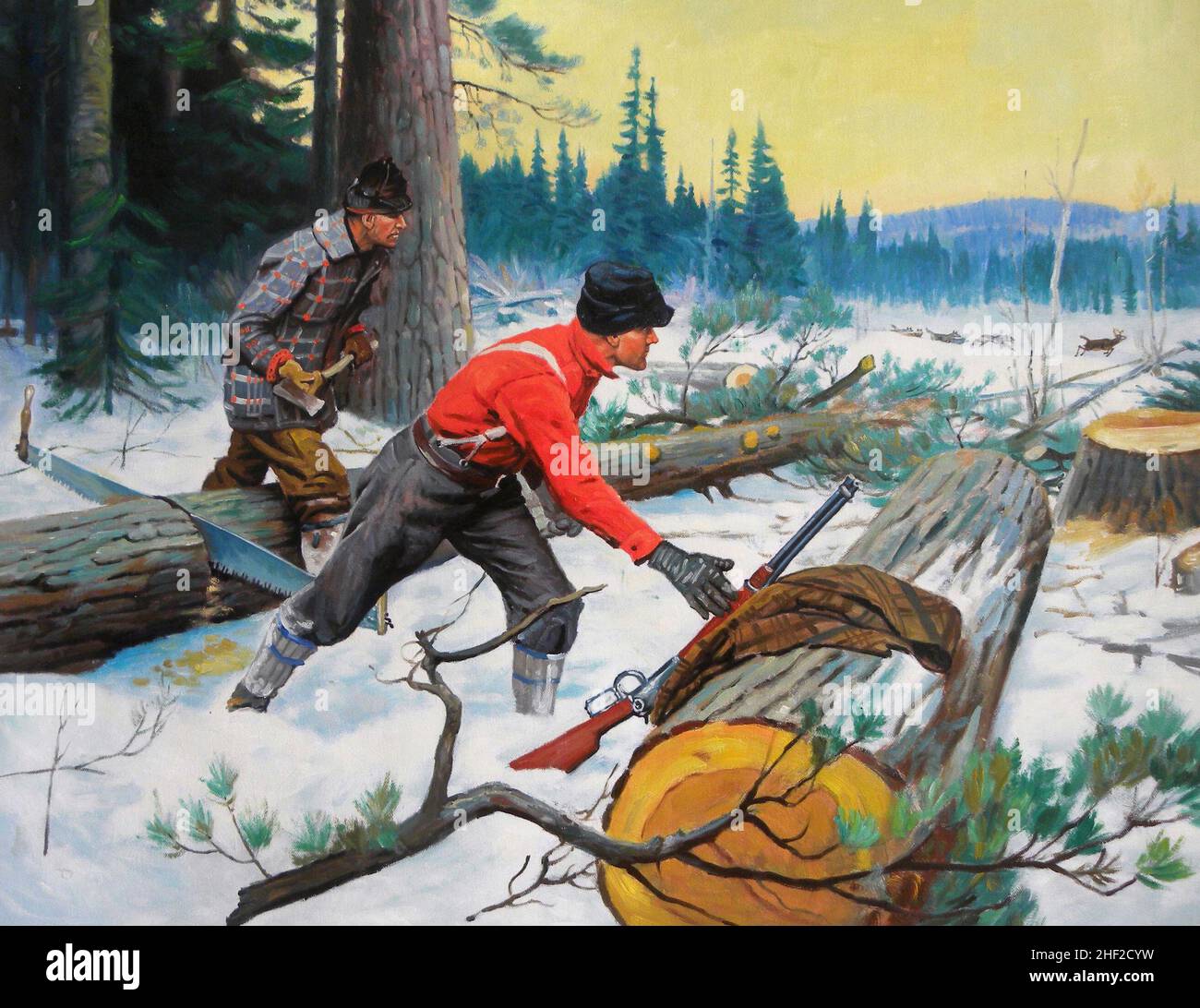 Archival loggers hi-res stock photography and images - Alamy