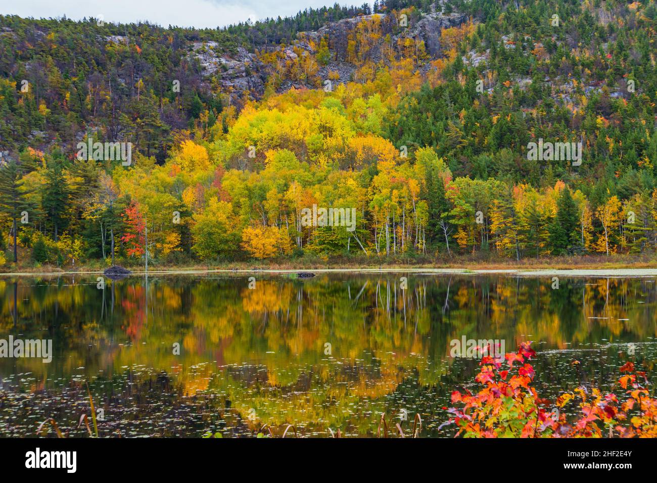 Maine Countryside