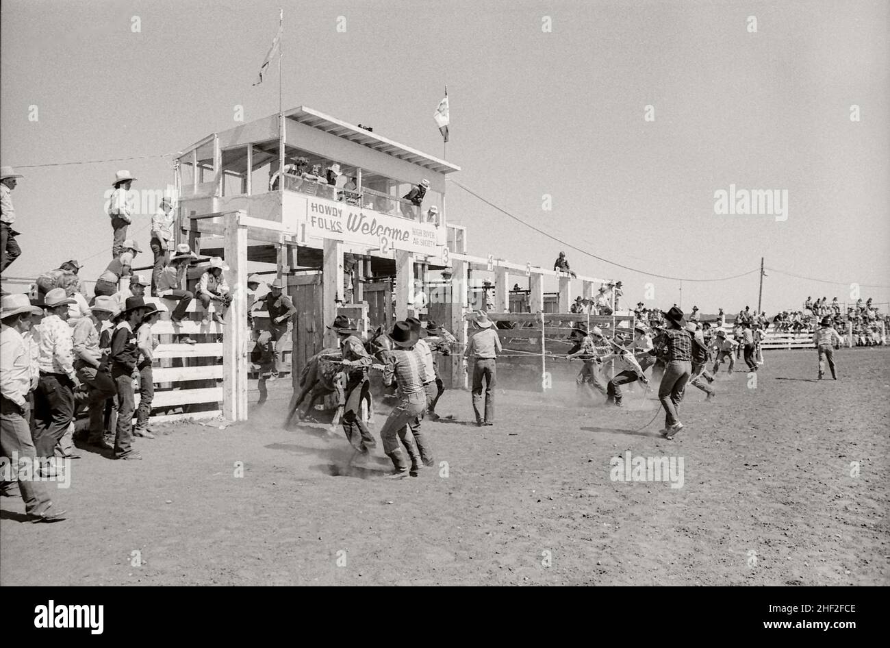 Vintage wild pony race event at the High River Rodeo. Circa 1981 ...