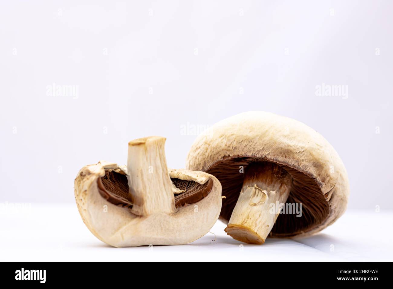 Fresh champignons, champignon mushrooms, close-up, isolated Stock Photo ...