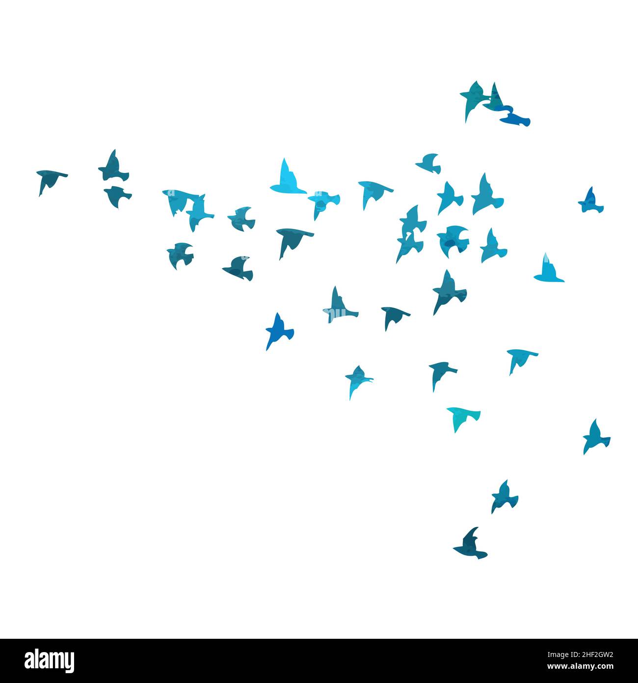 A flock of blue birds. Vector illustration Stock Vector Image & Art - Alamy