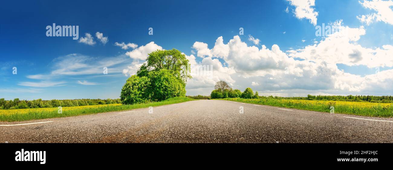 Panoramic view of the asphalt road with beautiful trees and with field ...