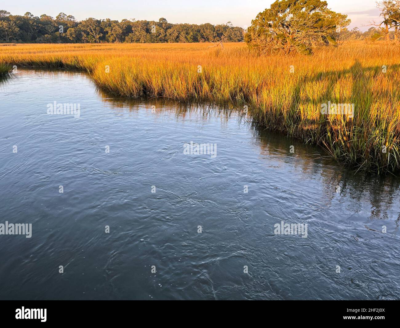 Salt marsh estuary georgia hi-res stock photography and images - Alamy