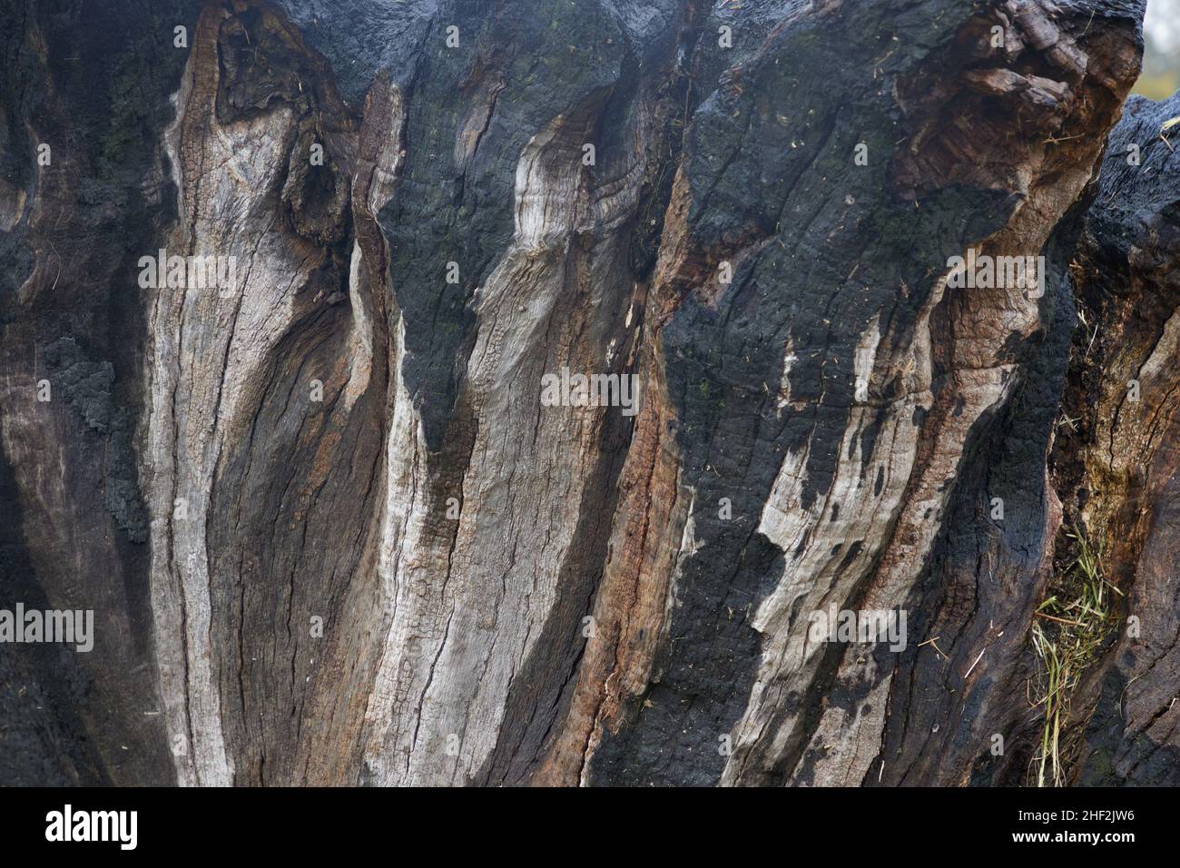 Filling trunk hi-res stock photography and images - Alamy