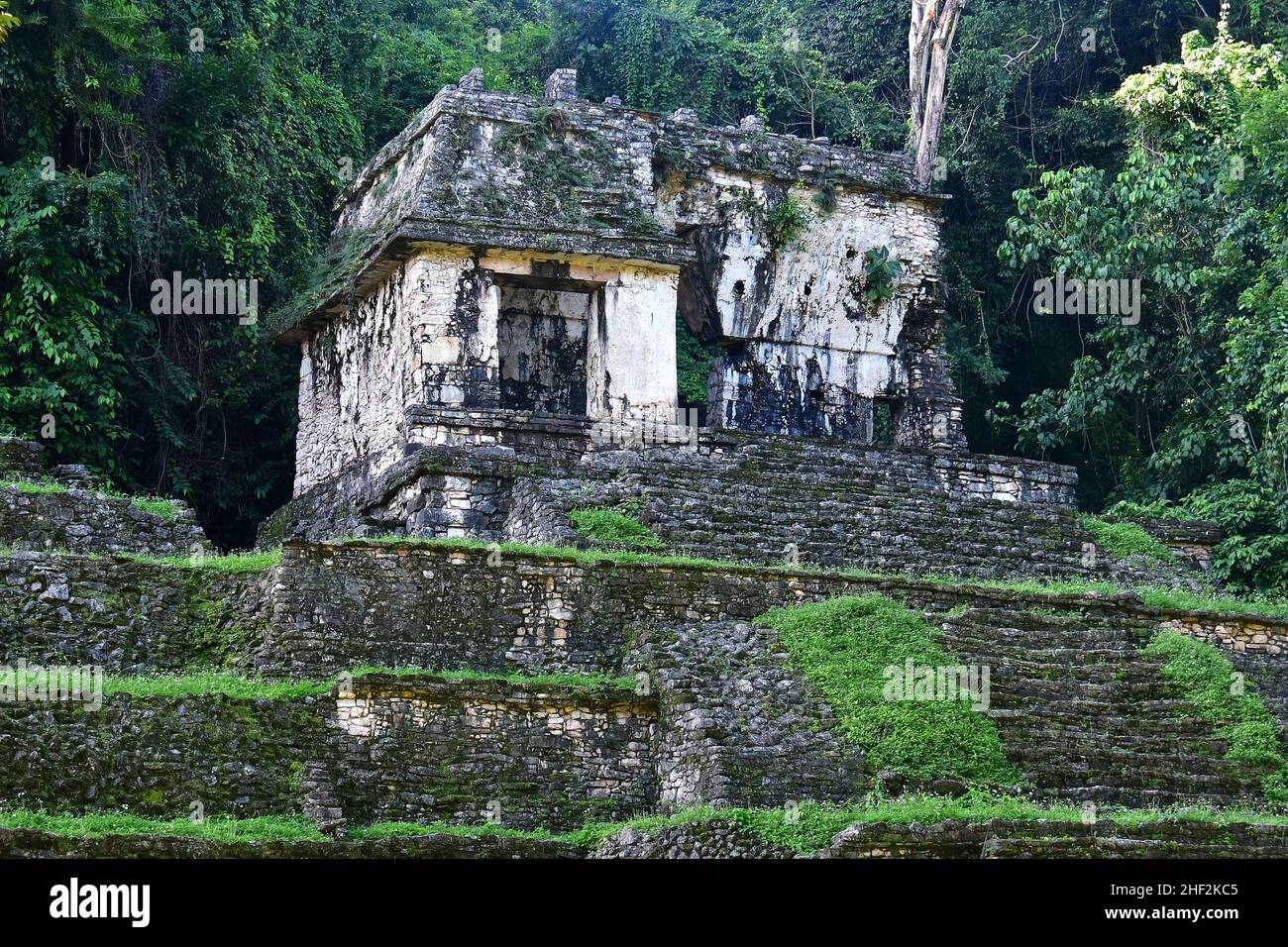 The red queen palenque hi-res stock photography and images - Alamy