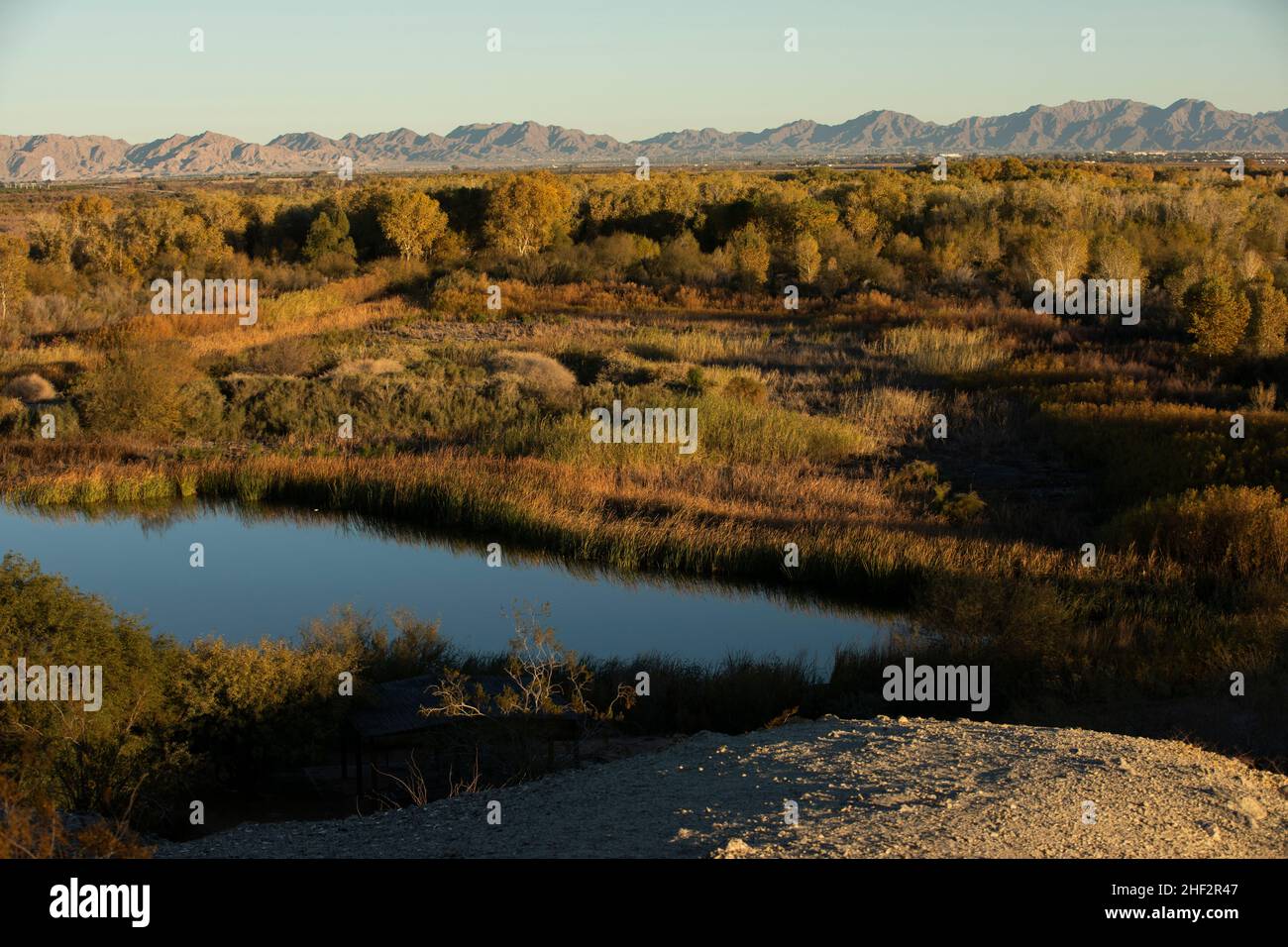 Sunset view of the Colorado River as flows through Yuma, Arizona, USA ...