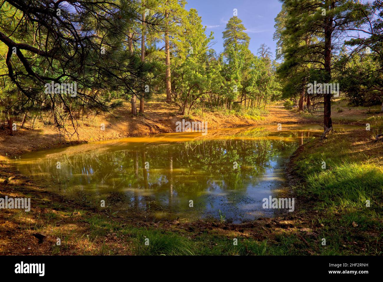 A hidden pond in Grand Canyon National Park near the south rim. On the ...