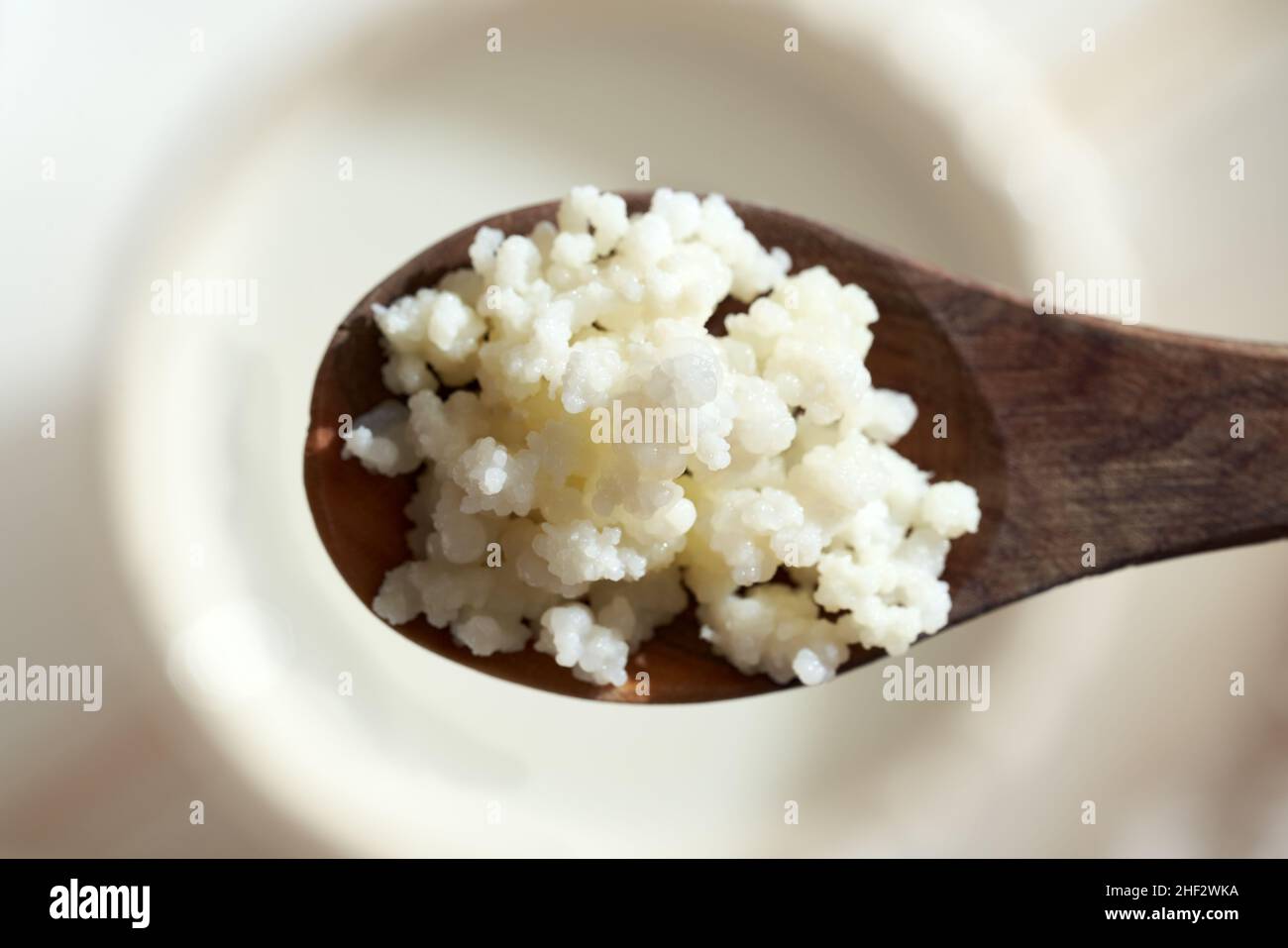Kefir grains on a wooden spoon - ingredient to prepare a homemade ...