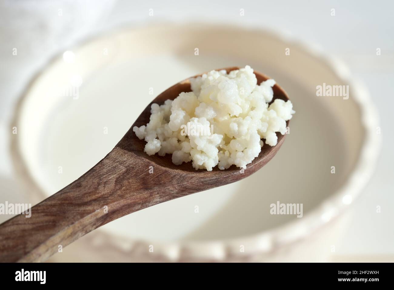 Kefir grains on a wooden spoon above a bowl of fresh milk Stock Photo ...