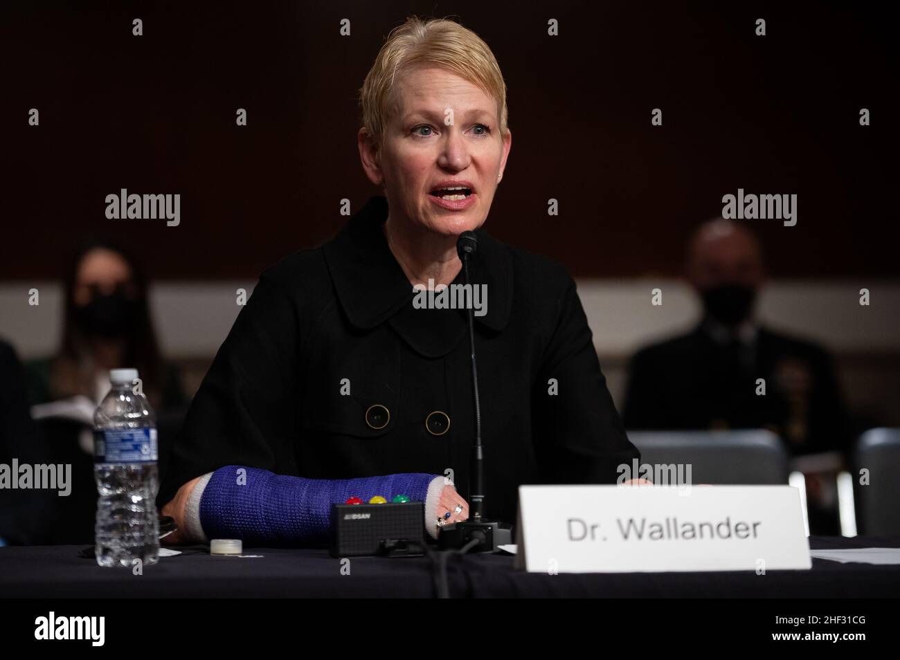 Celeste wallander hi-res stock photography and images - Alamy