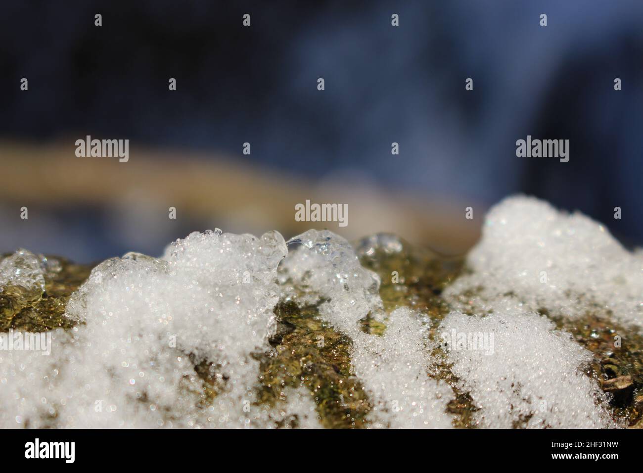 Snow and ice attached to the bark of a tree. Winter wallpaper ...