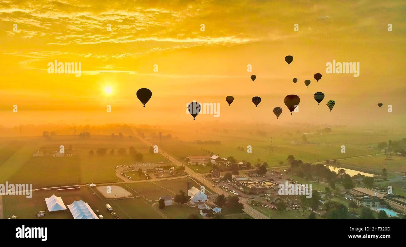 Aerial View of Many Hot Air Balloons Flying into the Sun and Mist On An ...