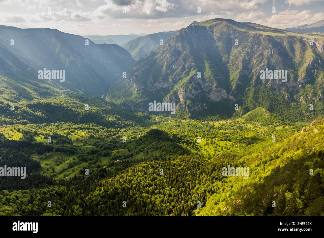 View of Tara canyon, Montenegro Stock Photo - Alamy